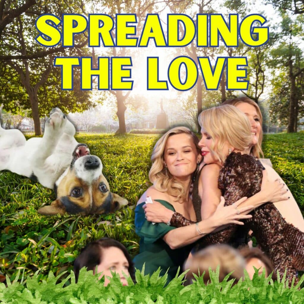 Wholesome Stories to Brighten Up Your Day