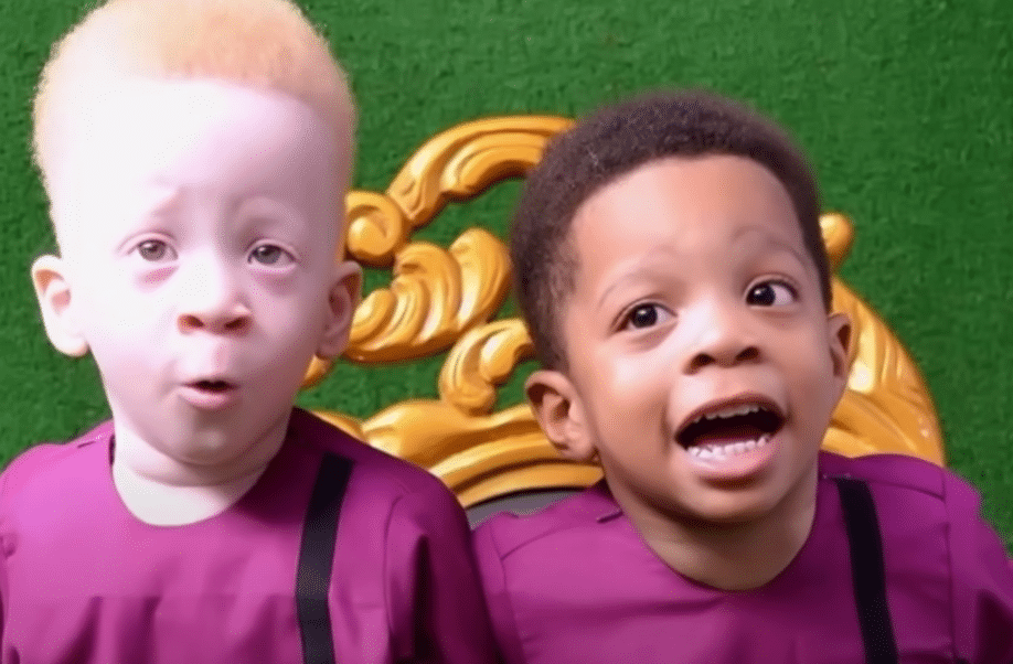Do You Remember the Different Color Twins? See What Happened to Them ...