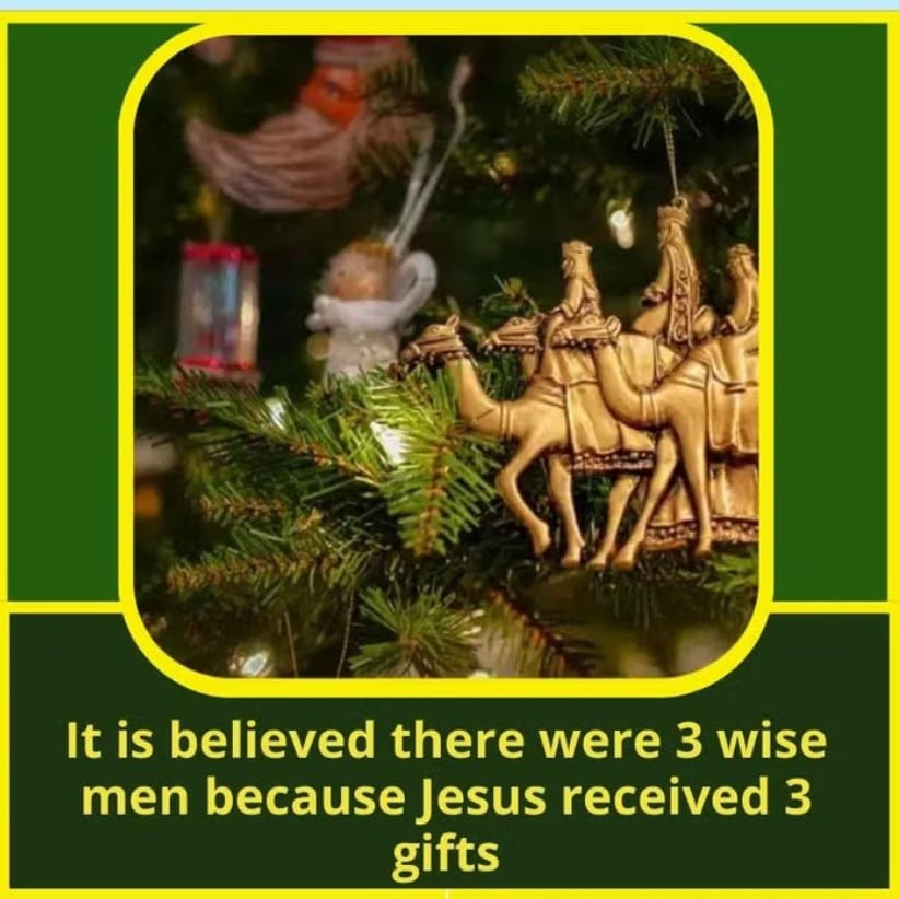 Jesus Was Not An Only Child and More Surprising Biblical Facts Beyond ...