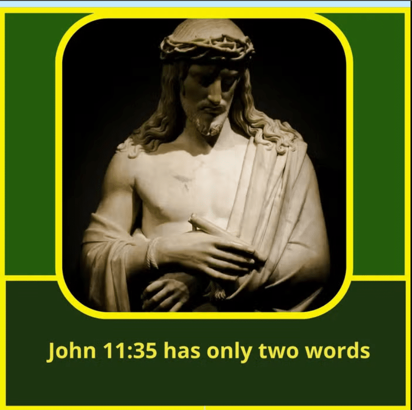 Jesus Was Not An Only Child and More Surprising Biblical Facts Beyond ...